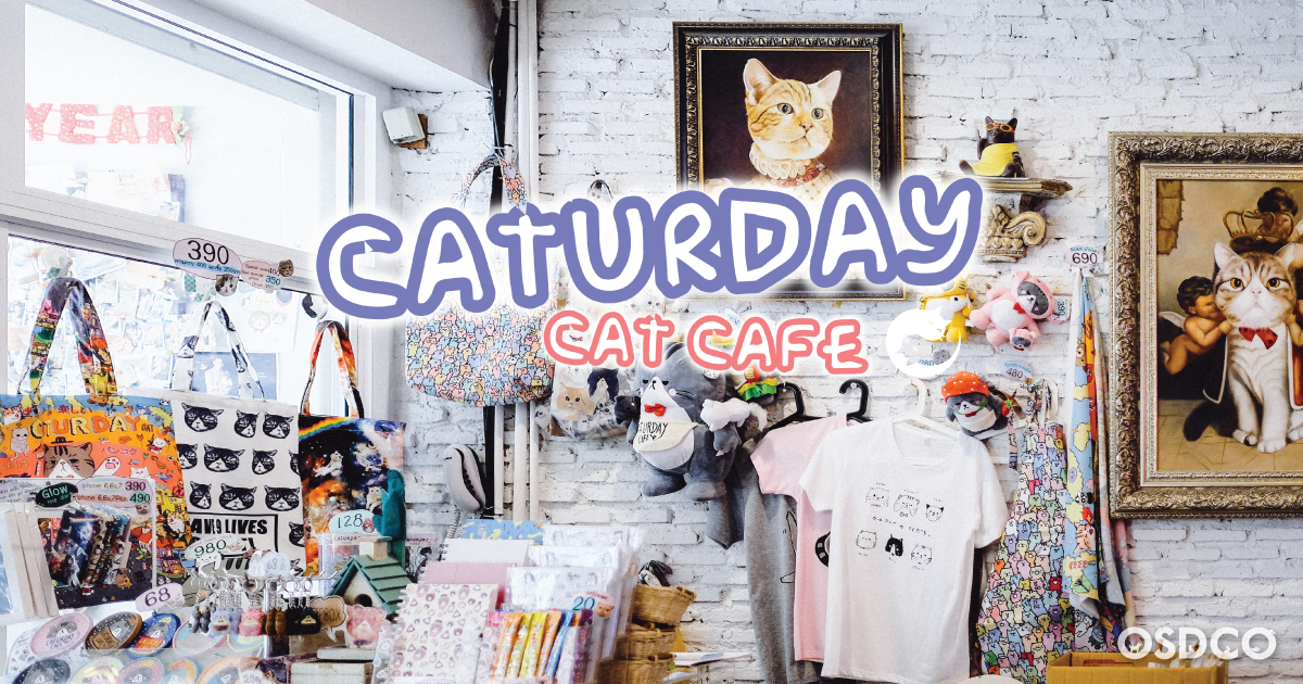 Caturday cat cafe คาเฟ่แมวแสนน่ารักใจกลางกรุงเทพฯ